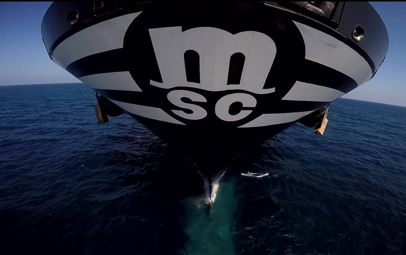 MSC - Côte d'Ivoire - Abidjan - APIE BUSINESS