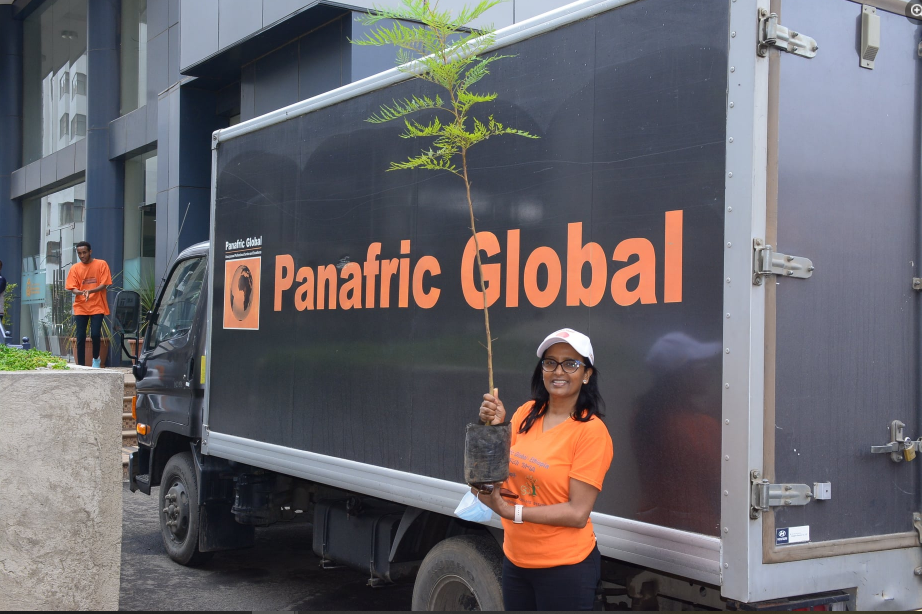 Panafric Global - Hawassa - APIE BUSINESS