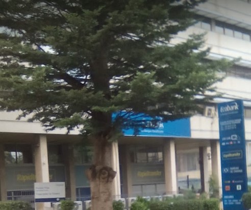Ecobank – Togo - Lome - AGENCE PRINCIPALE - APIE BUSINESS