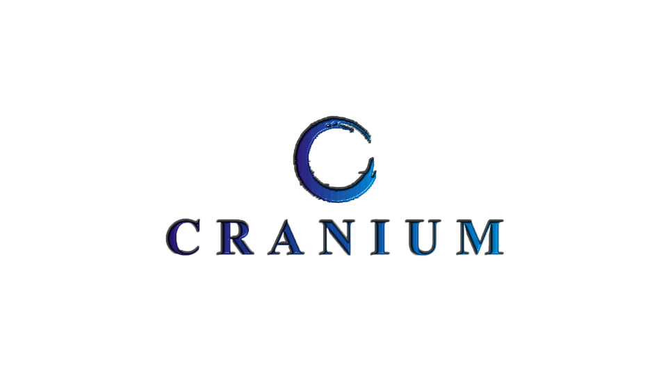 Cranium Construction - APIE BUSINESS