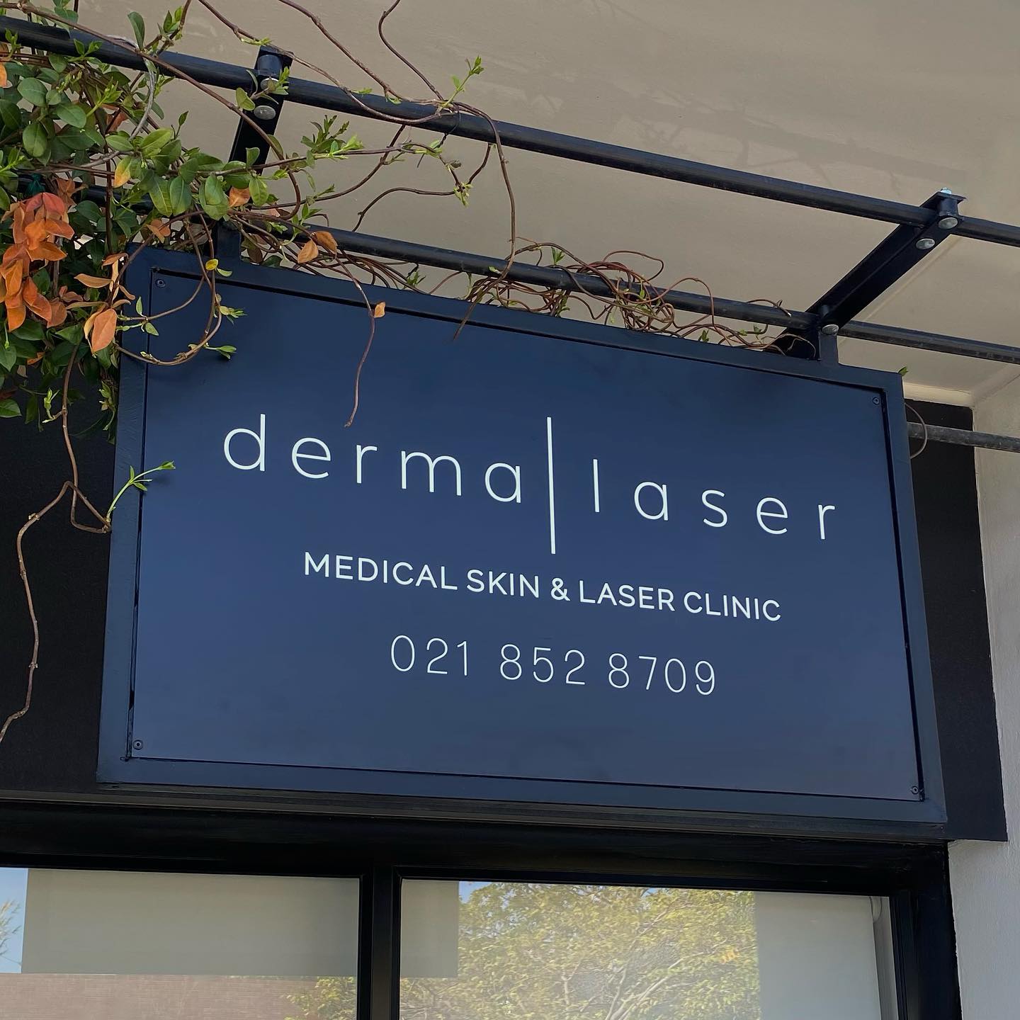 Dermalaser Skin & Laser Clinic - APIE BUSINESS