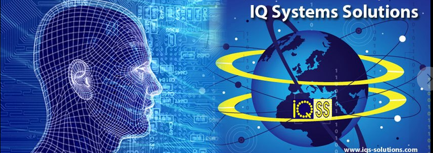 IQ Systems Solutions - APIE BUSINESS