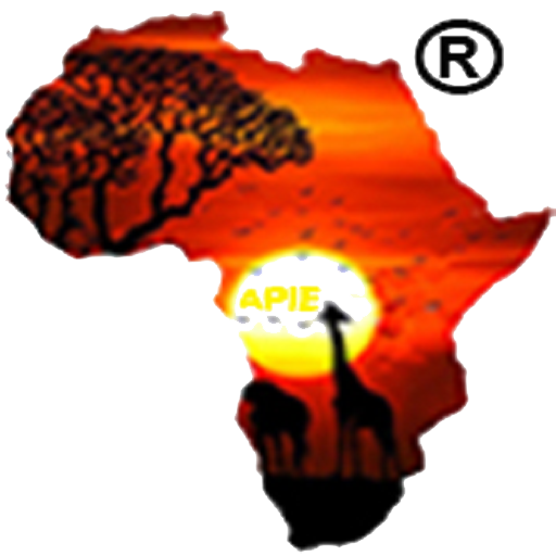 The African Fashion Brands You Should Know - APIE NEWS