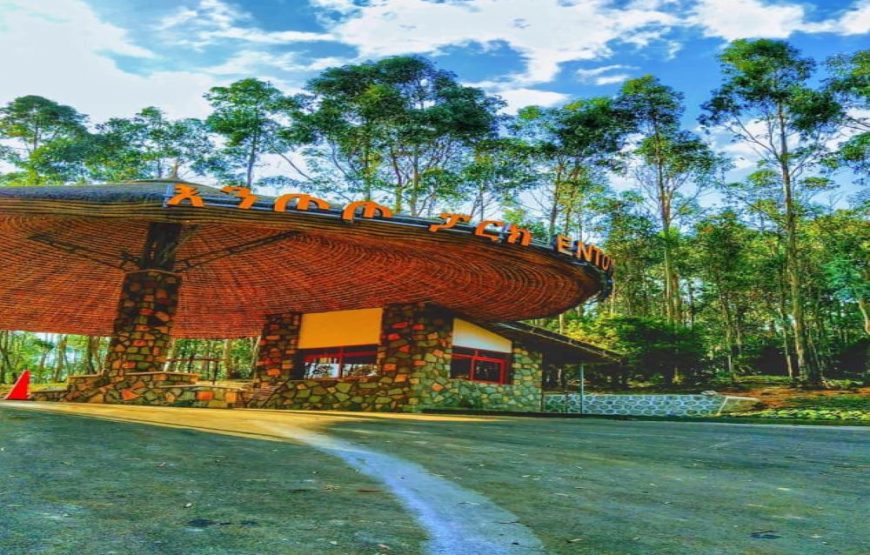 Entoto Natural Park - APIE NEWS