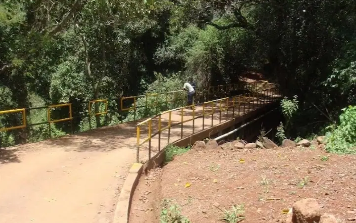 Oloolua Nature Trail: Prices, Activities, And Contacts - APIE NEWS